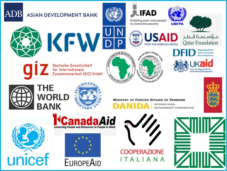 International Development & Sustainability | Urban & Environmental Studies