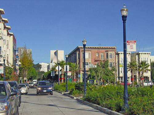 Better Streets San Francisco Project | Urban & Environmental Studies