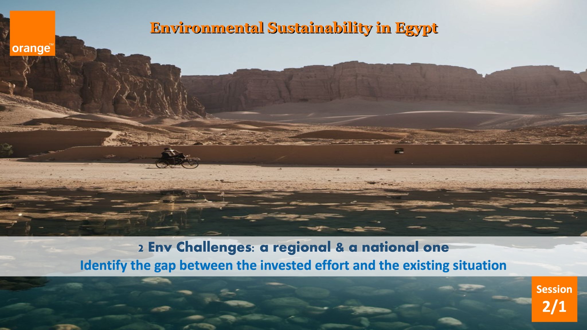 Environmental Sustainability in Egypt | Urban & Environmental Studies